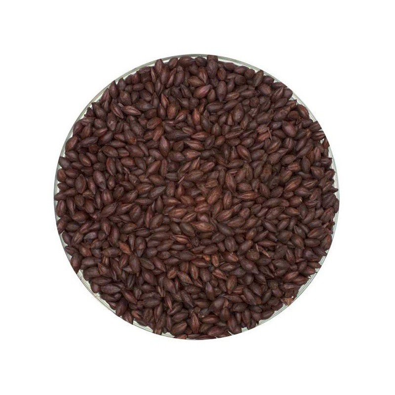 Malte Carafa II 100g | Shopee Brasil