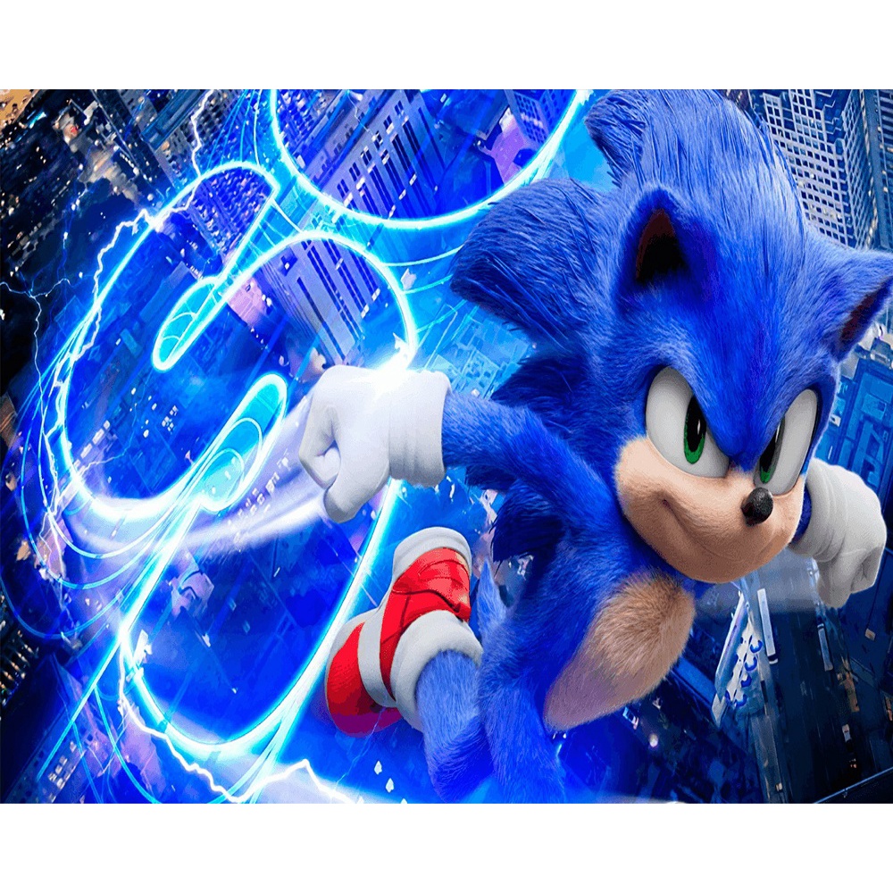 Painel Banner em lona 1,00 x 0,80 Fosca Retangular sonic | Shopee Brasil