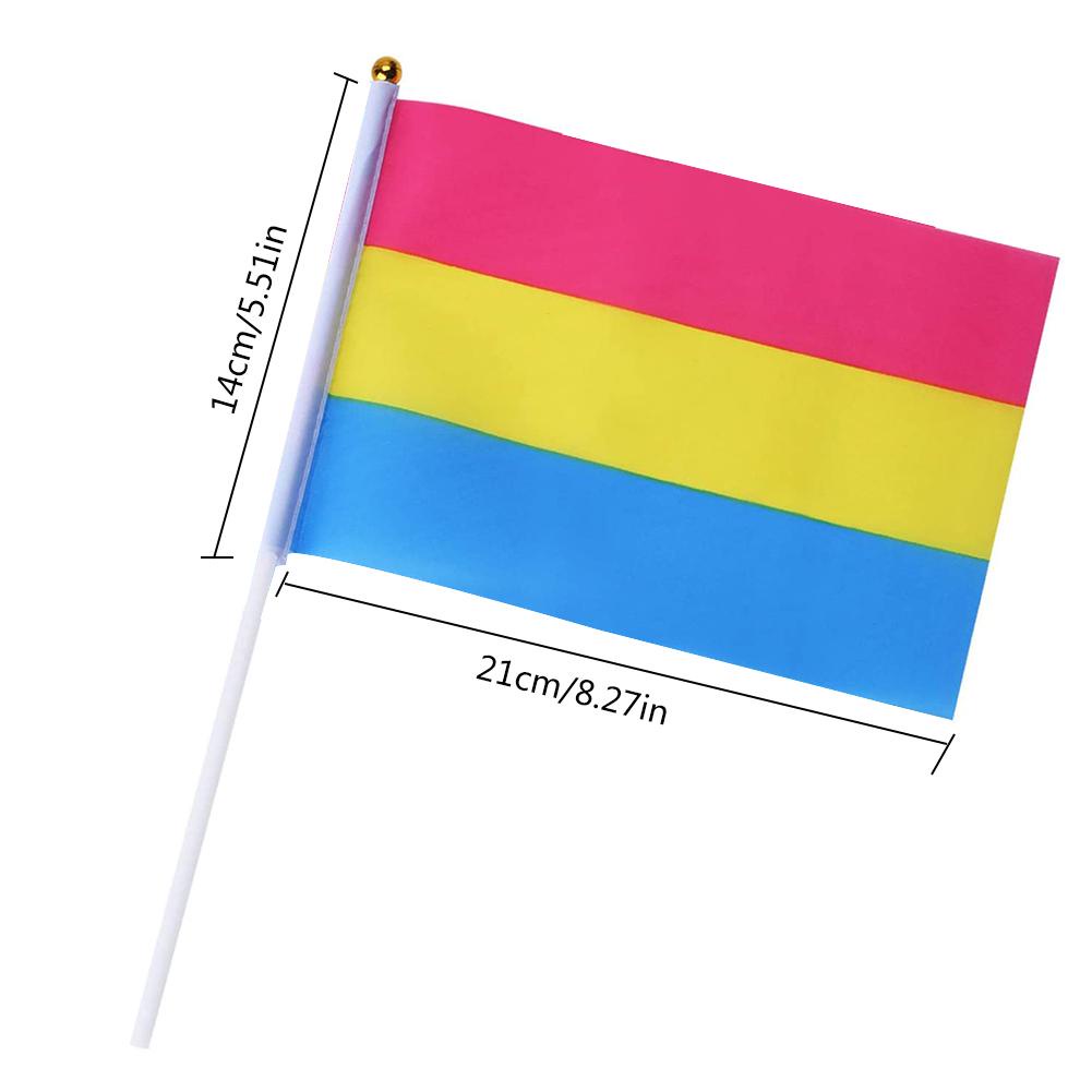 Bandeira Orgulho PAN - LGBTQIAP+ Bandeirinha 14 x 21cm Haste 30cm ...