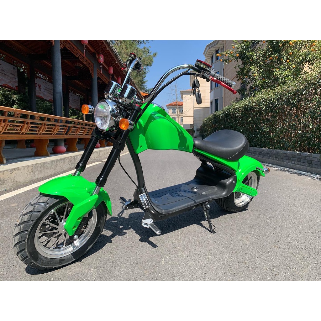 citycoco chopper Green X12 Electric Scooter | Shopee Brasil