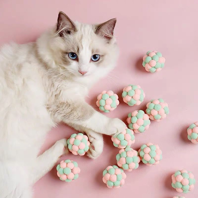 Bola Para Gato Bolinha de calota para gatinhos Brinquedos para gatos ...