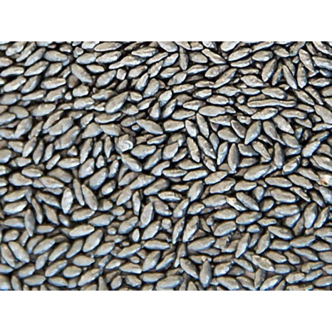 Brachiaria Humidicola Capim Quicuio 1 Kg Sementes | Shopee Brasil