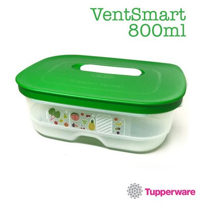 Tupperware Ventsmart Retangular 800 ml | Shopee Brasil