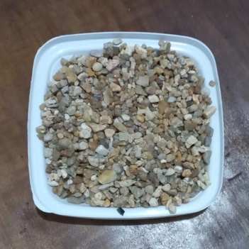 PEDRISCO 1 kg | Shopee Brasil