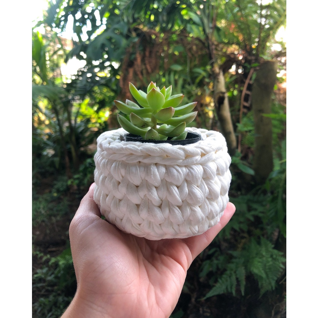 Mini cachepô para suculentas em crochê | Shopee Brasil