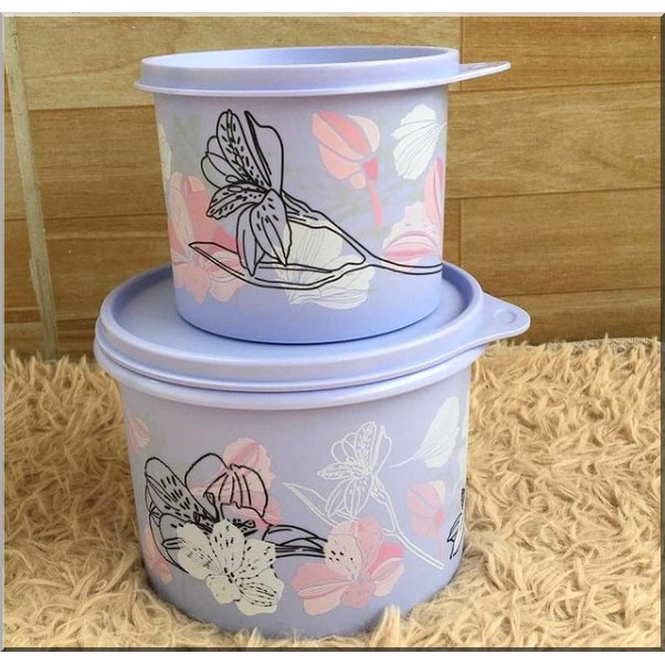 Kit Tupper Caixa Floral Tupperware Promoção | Shopee Brasil