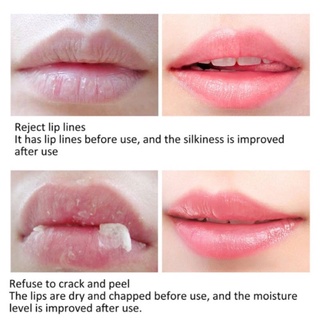 Lip Balm hidratante labial pote de mel | Shopee Brasil