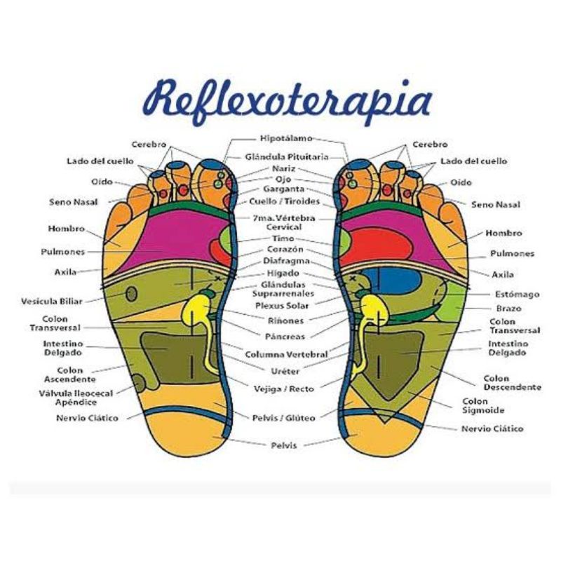 Qué Es La Reflexoterapia, Para Que Sirve Y Como Funciona FisioOnline ... Qué Es La Reflexoterapia, Para Que Sirve Y Como Funciona FisioOnline ...