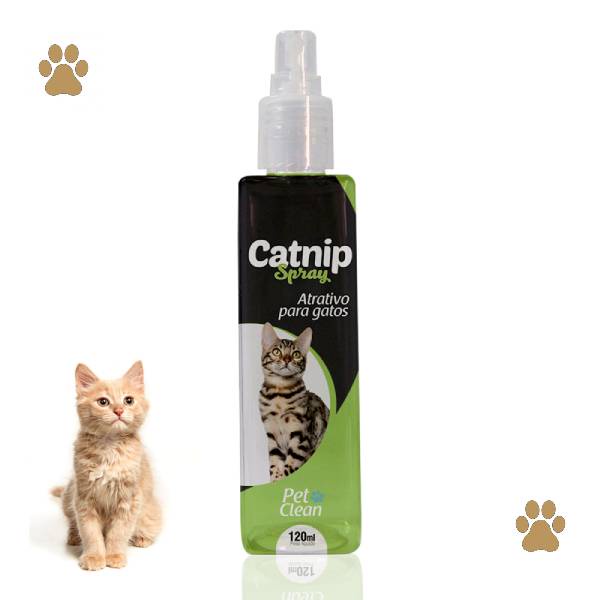 Catnip Erva Gateira Spray Atrativo Para Gato Pet Clean 120ml | Shopee ...