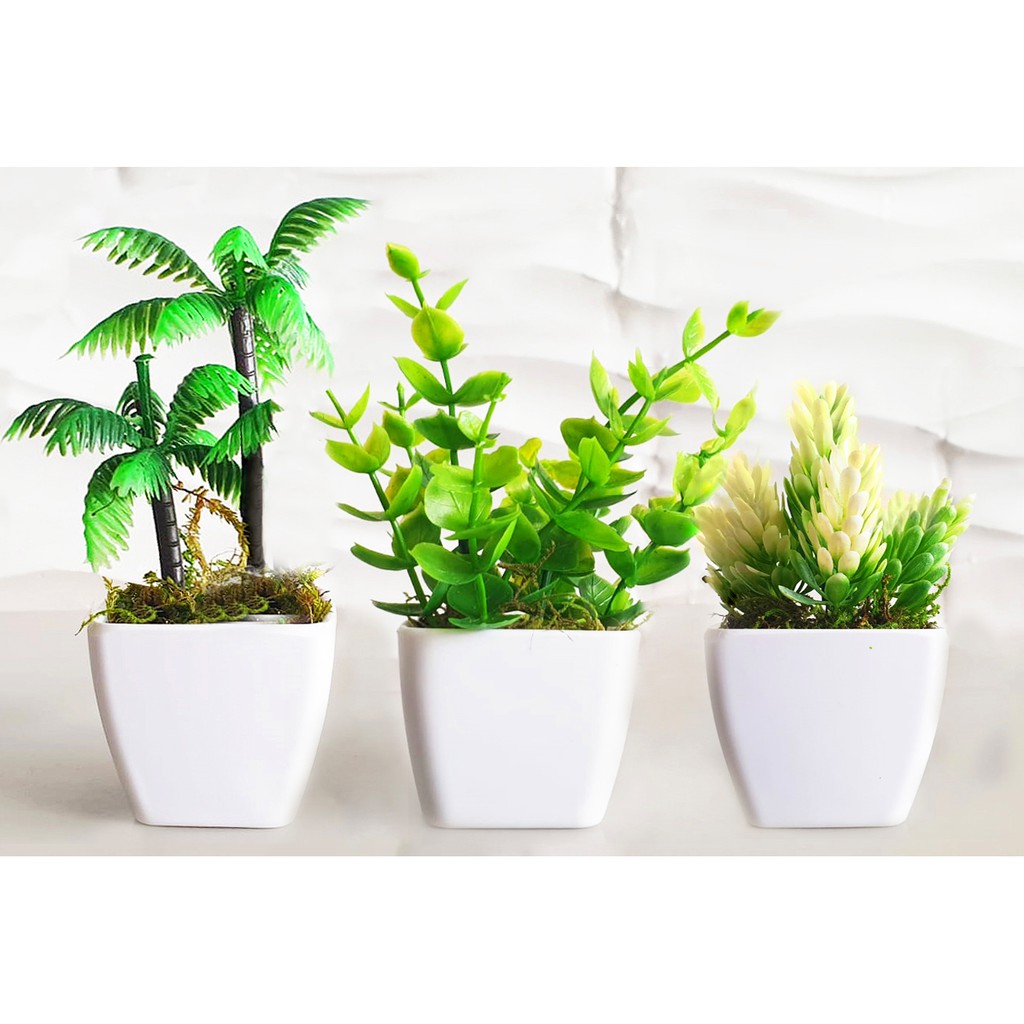 3 MINI VASINHOS PALMEIRA / COQUEIRO SUCULENTAS ARTIFICIAIS / PLANTINHA ...