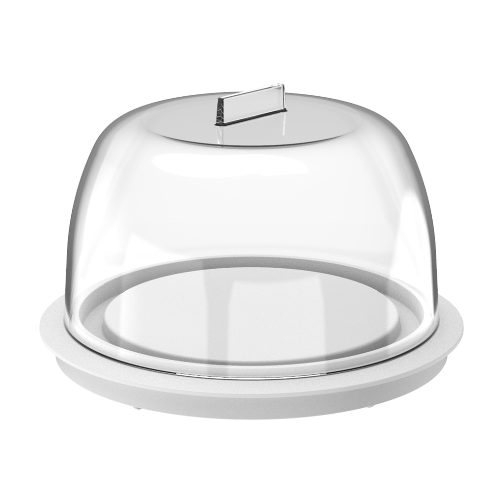 Queijeira Porta Queijo Minas Brie Com Tampa Break | Shopee Brasil