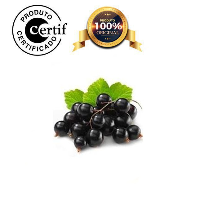 Óleo de Groselha Negra 100ml Prensado a frio com laudo | Shopee Brasil