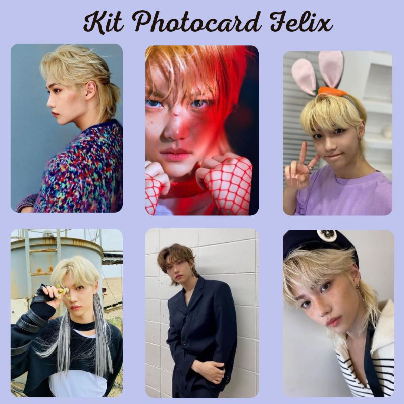 Stray Kids Felix Kit Photocard Card Felix | Shopee Brasil