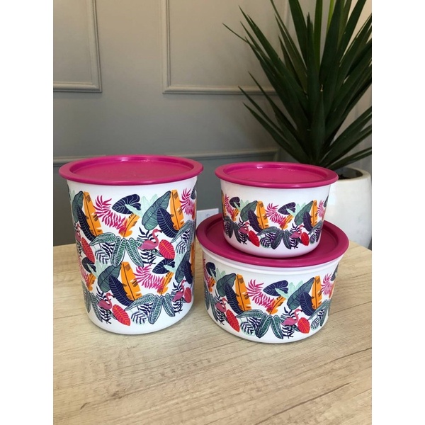 Tupperware kit instantâneas Flamingo | Shopee Brasil