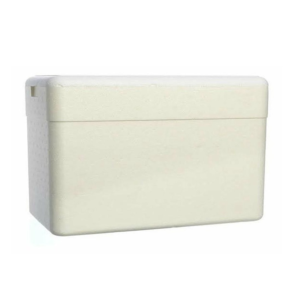 Caixa Térmica Isopor 60 Litros Gelo Cerveja Refrigerante - Escorrega o ...