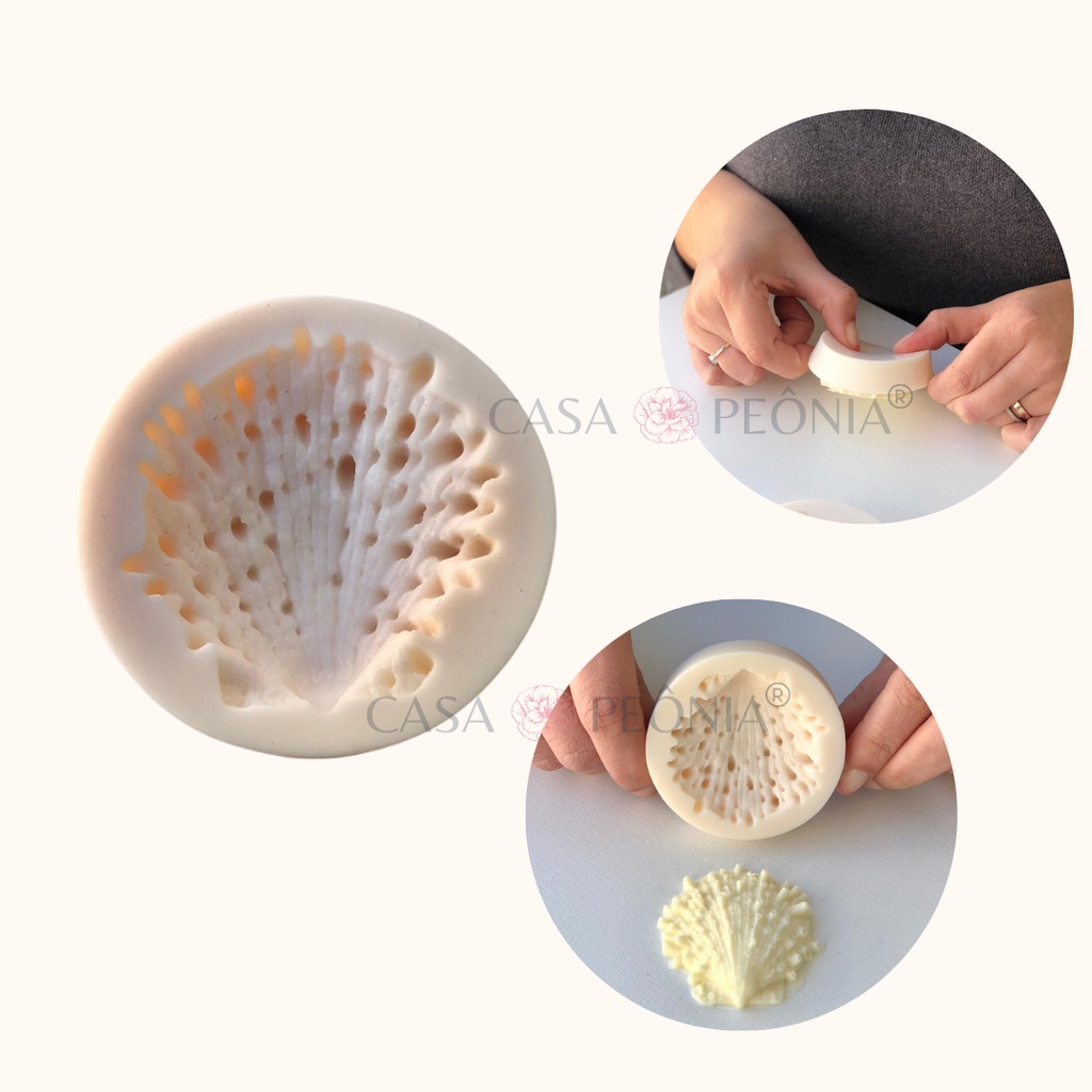 Molde de Silicone Concha Realista Fundo do Mar Pasta Americana ...