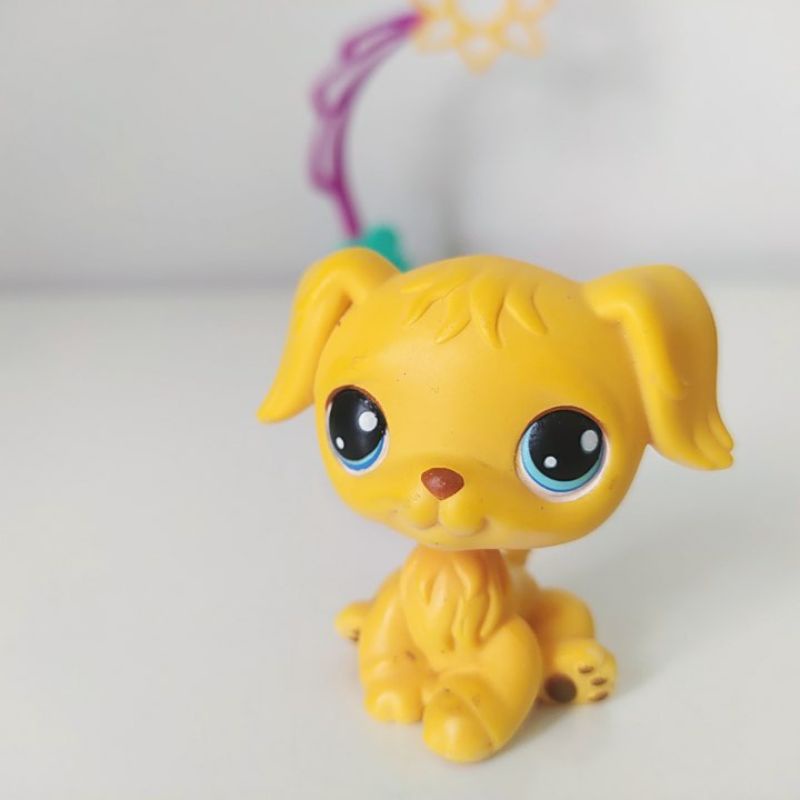 LPS Littlest pet shop golden | Shopee Brasil