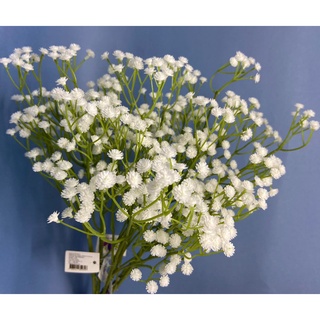 Galho Gipsófila Mosquitinho - Diversas Cores | Shopee Brasil