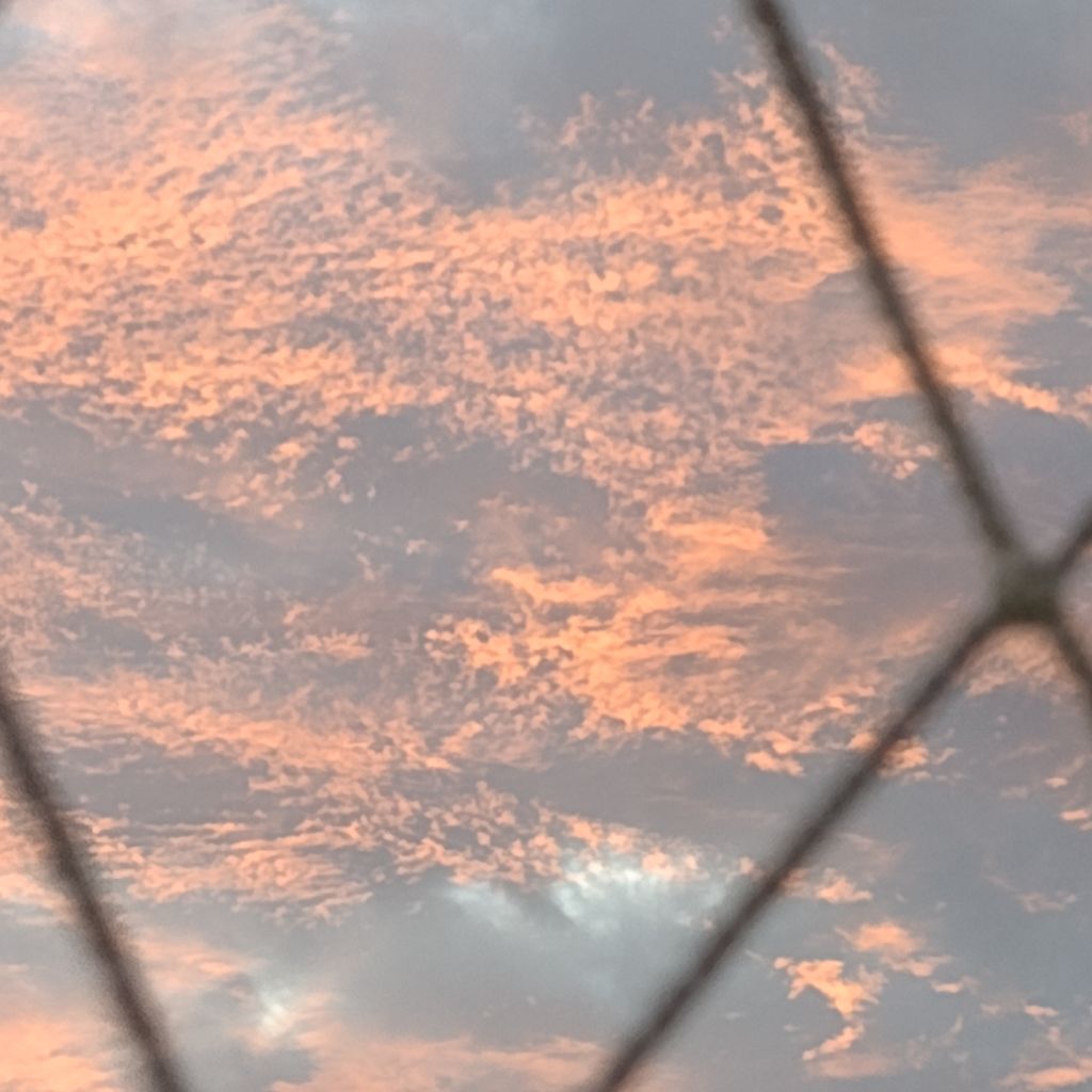 Cissah e Teté, Loja Online | Shopee Brasil