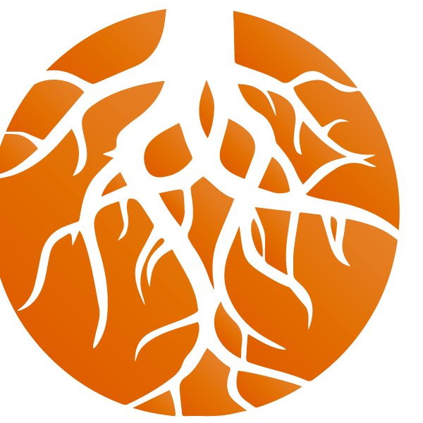 HAIZ SHOP, Loja Online | Shopee Brasil