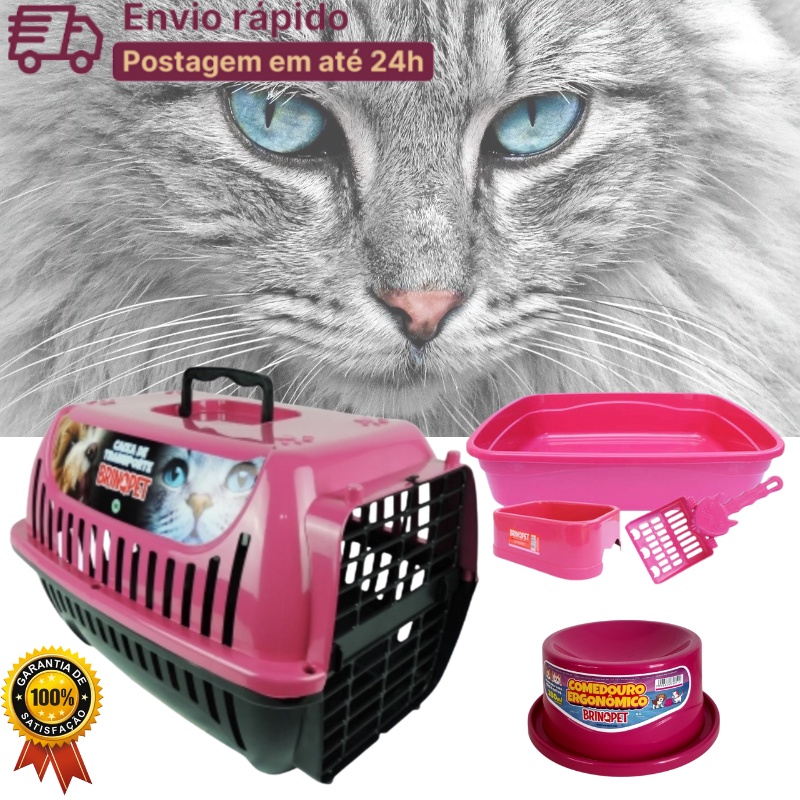 Kit Gato caixa de areia para gato + comedouro + Caixa transporte Gato ...
