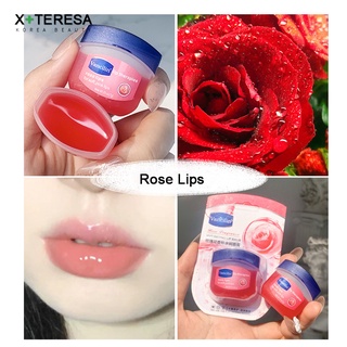 Vaseline Bálsamo/Base De Batom Hidratante Natural/Planta Para Maquiagem ...