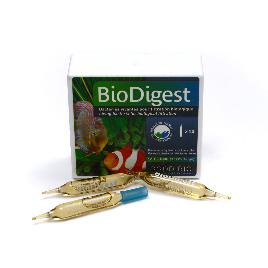 Prodibio Biodigest 20 Bilhões Bacterias Vivas 1 Ampola | Shopee Brasil