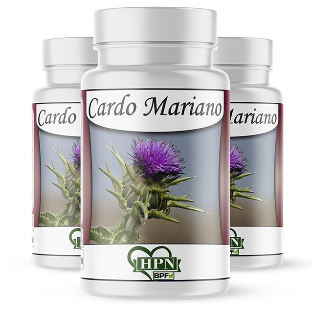 Cardo Santo Medicinal Planta Repleta de Benefícios 180 Cápsulas 500mg ...