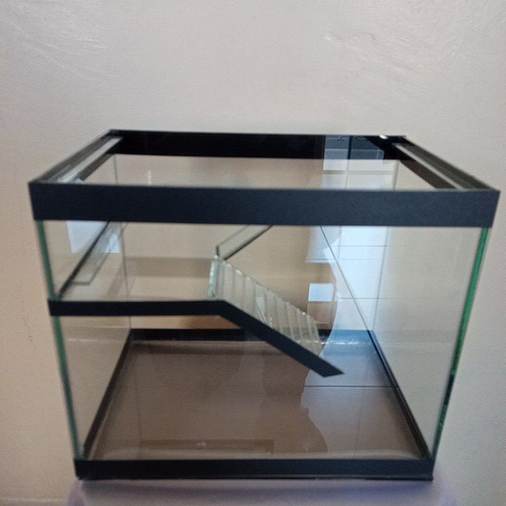 Aquaterrario aquario 25x20x20 | Shopee Brasil