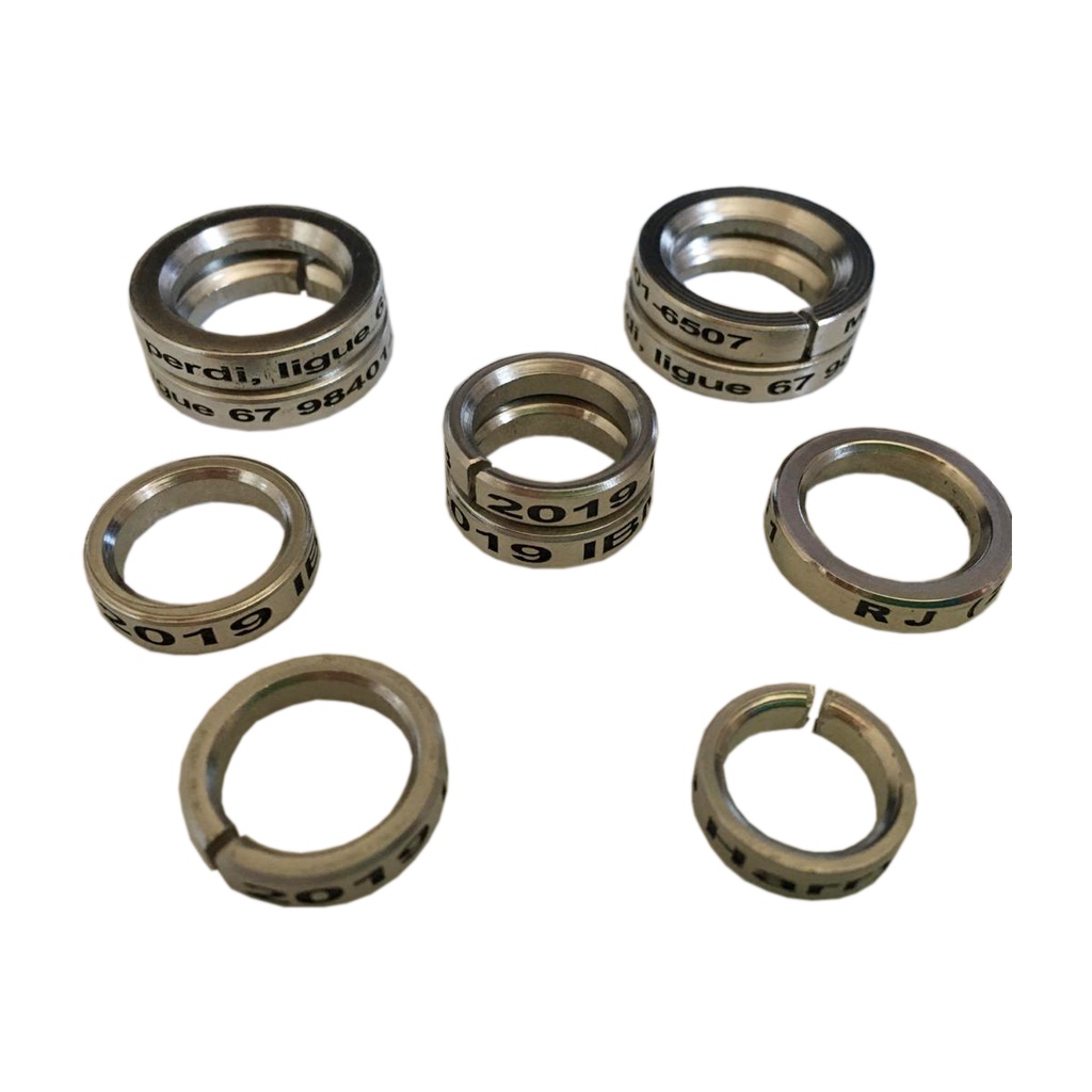 Anilha Personalizada com Marcação A Laser Aço Inox Polido Papagaio 10 ...