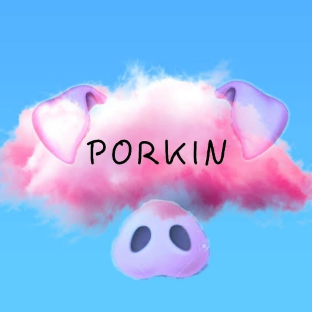 Porkin Porkin Shop, Loja Online | Shopee Brasil