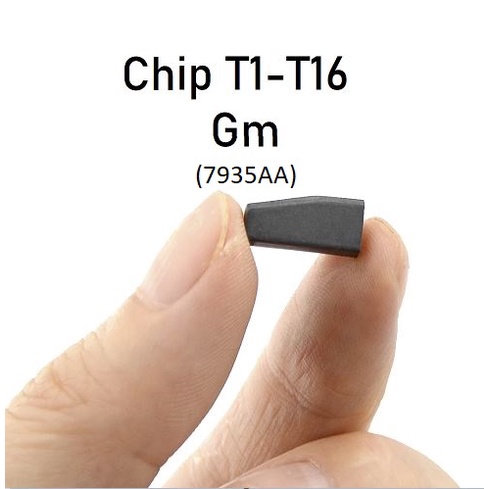 Chip transpônder Gm Astra, Corsa, Classic, Vectra T16 - T1 - Escorrega ...