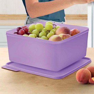 Linha Basic Line Tupperware | Shopee Brasil