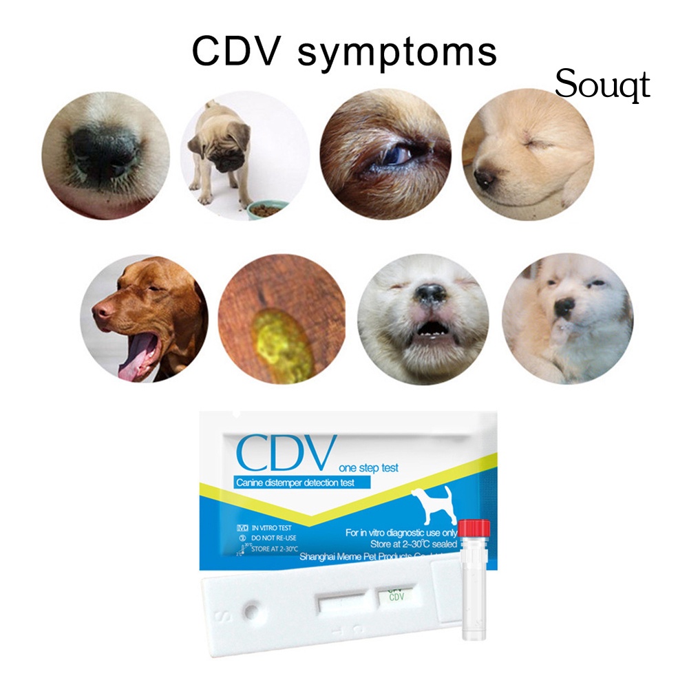 What Is The Incubation Period For Distemper In Dogs