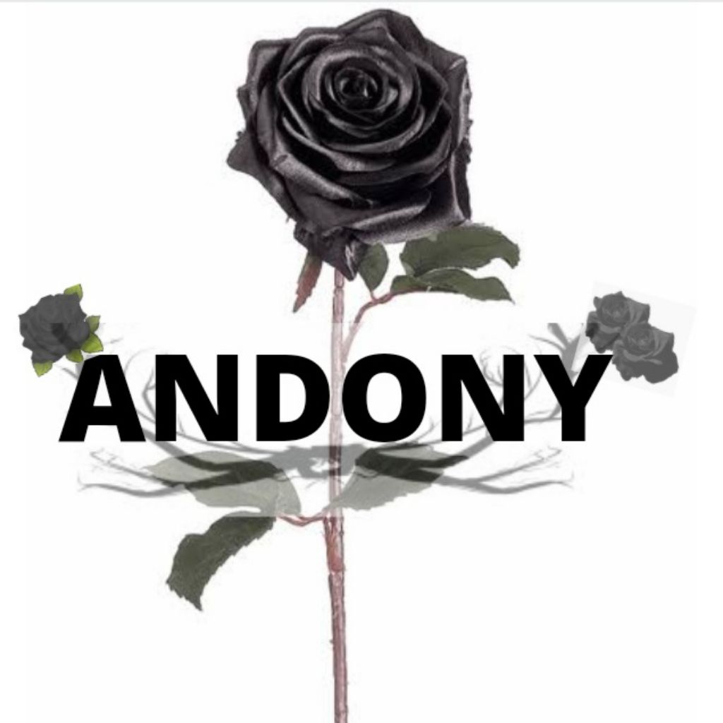 Loja Andony, Loja Online | Shopee Brasil
