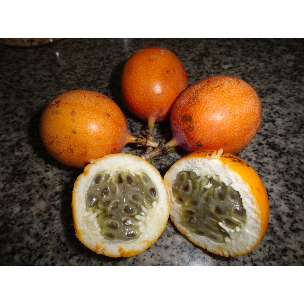 Sementes De Granadilha Mais Doce que Maracujá | Shopee Brasil