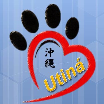 Utina Mix, Loja Online | Shopee Brasil