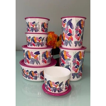 Linha Instantânea Flamingo TUPPERWARE® | Shopee Brasil