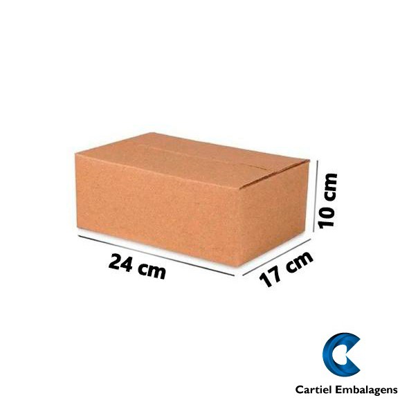 100 Caixas de Papelão 24x17x10 | Shopee Brasil