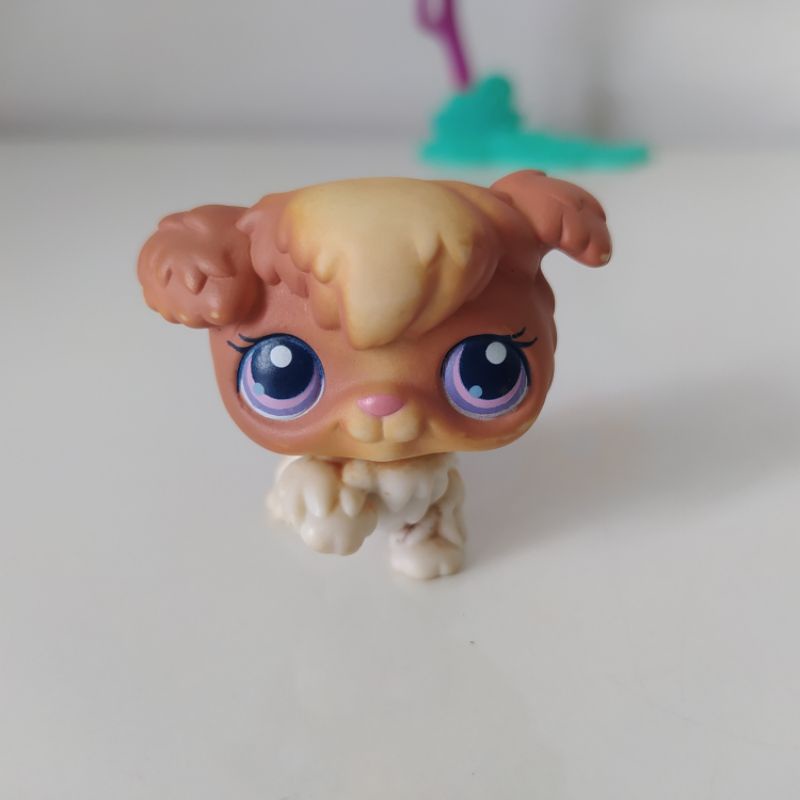 LPS Littlest pet shop poodle | Shopee Brasil