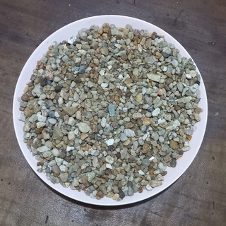 PEDRISCO 1 kg | Shopee Brasil