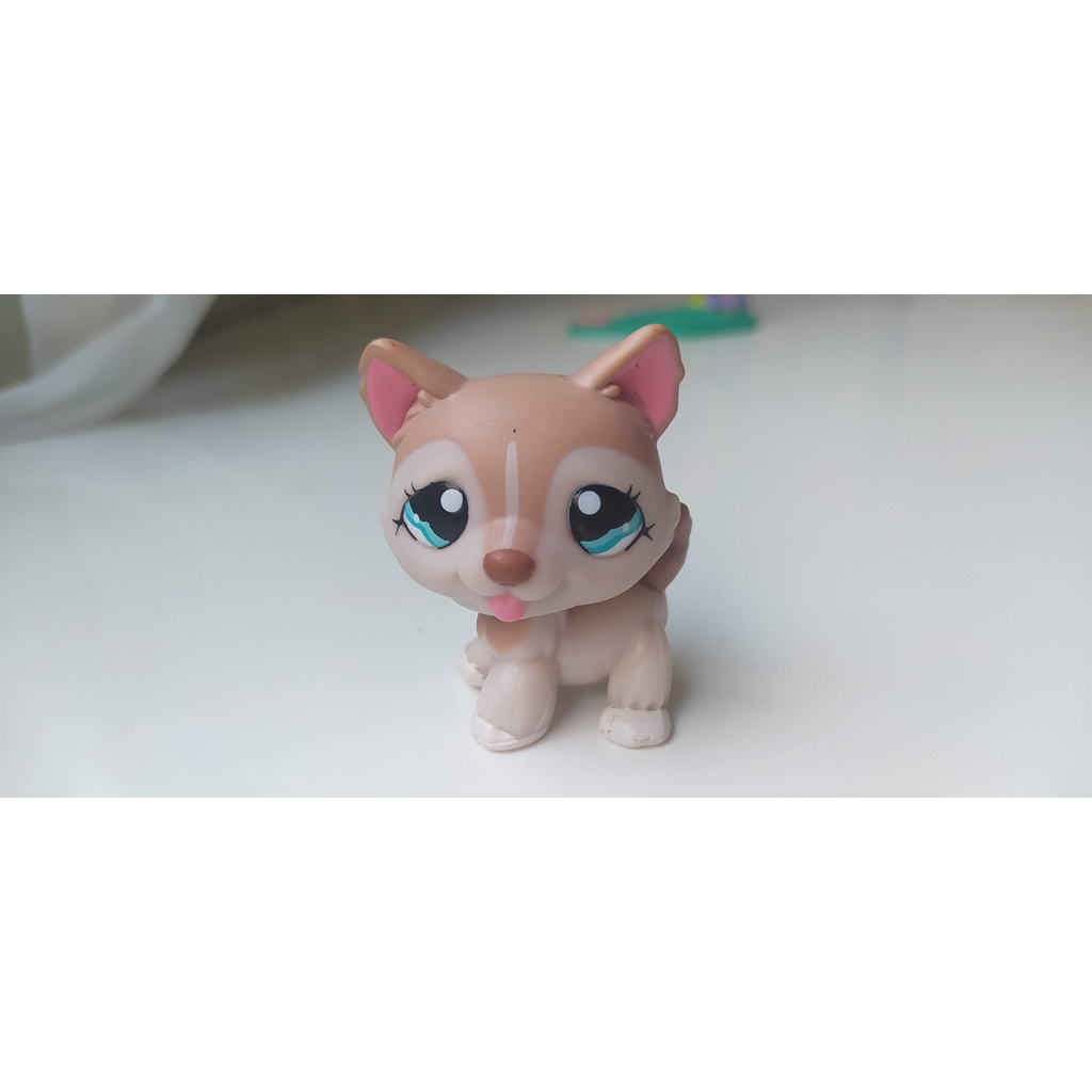 LPS Littlest Pet Shop huscky | Shopee Brasil