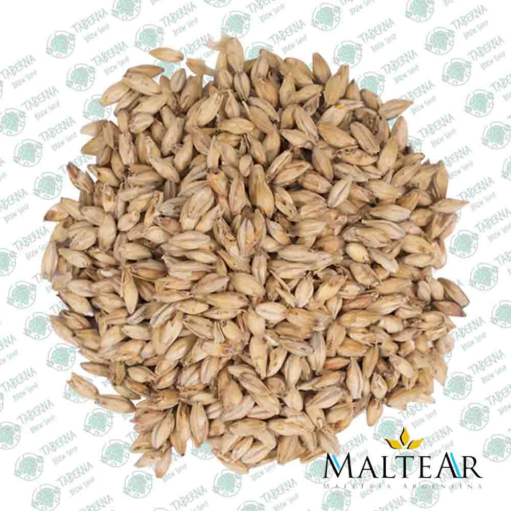 Malte Vienna - MalteAR | Shopee Brasil