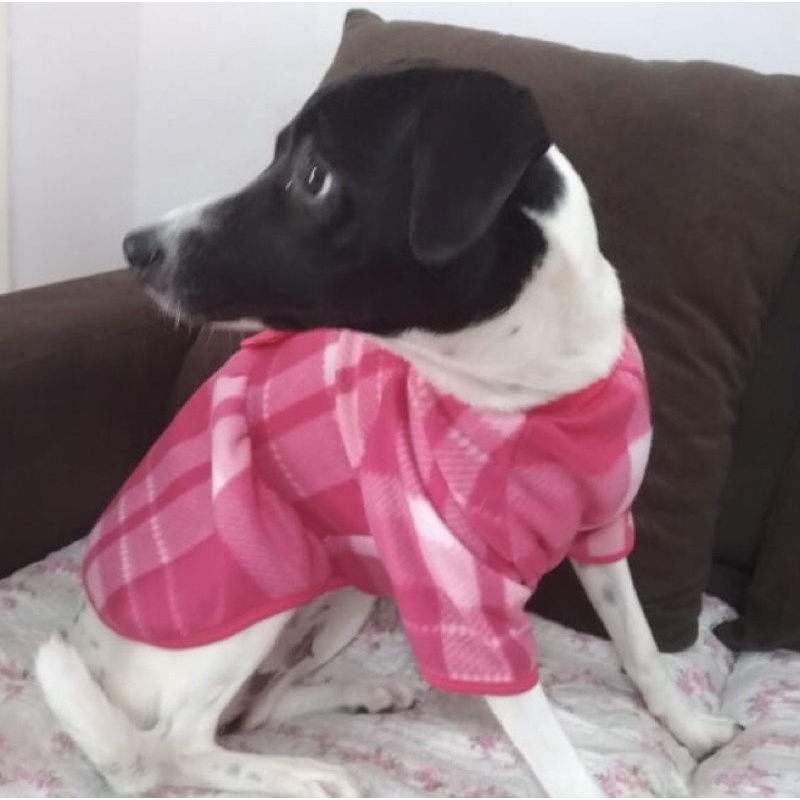 Casaco ou vestido para cachorro tamanho 8-GG indicado para porte medio ...
