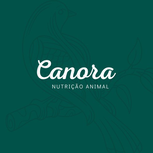 Canora Rações e Acessórios, Loja Online | Shopee Brasil