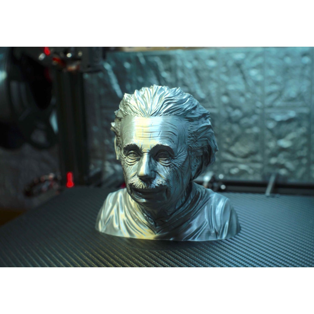 Albert Einstein 3D | Shopee Brasil