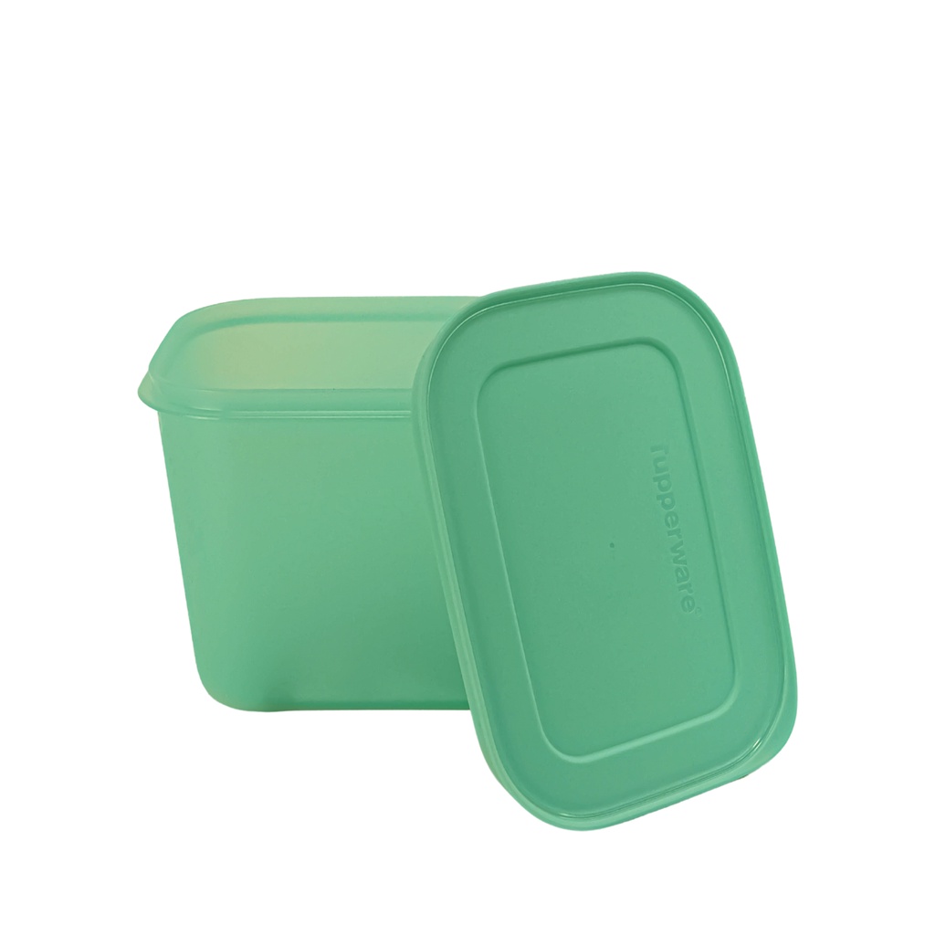 Freezer Line 1,1 L Tupperware | Shopee Brasil