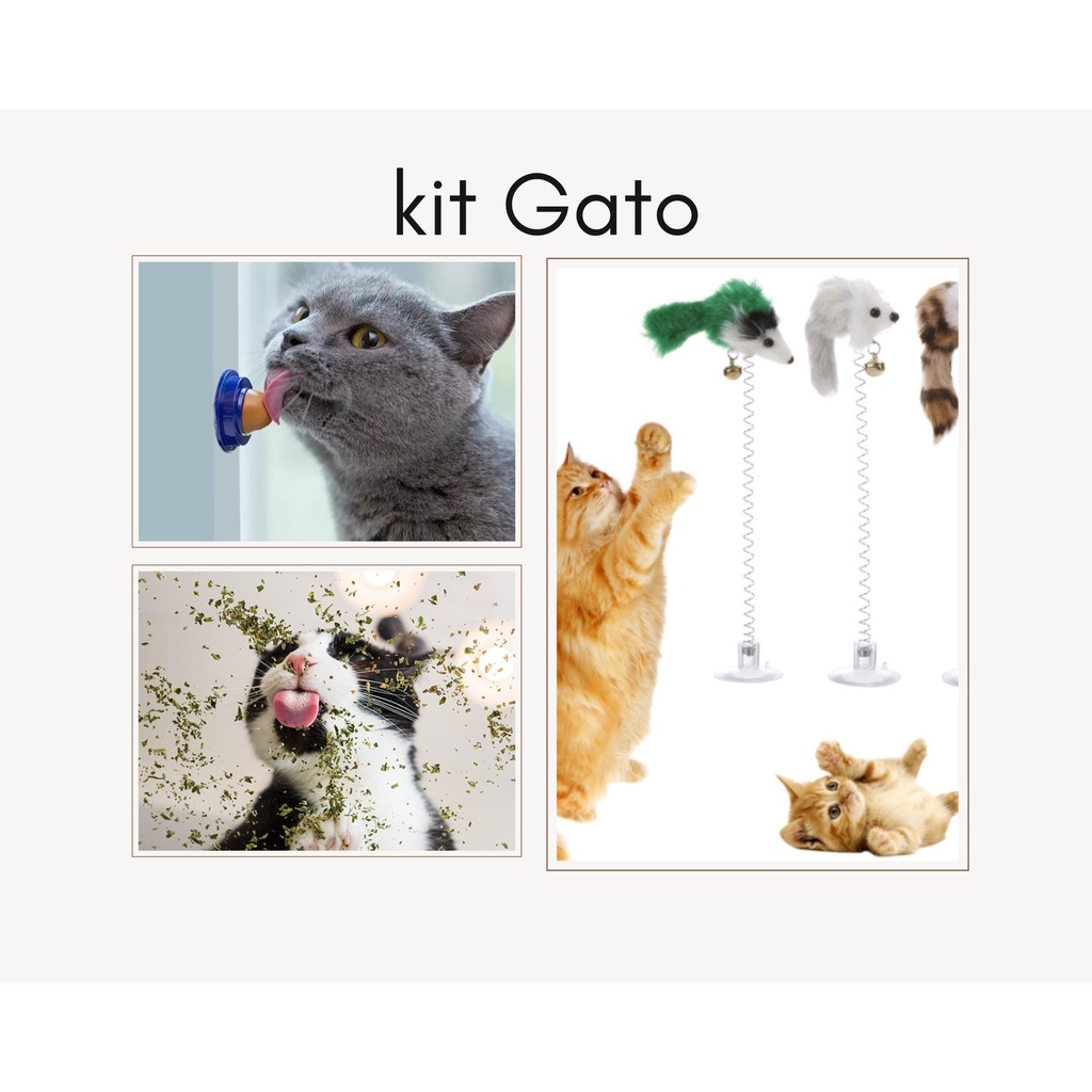 Kit Gato 3 Produtos Cartnip Pirulito para Gato Ratinho com Mola ...
