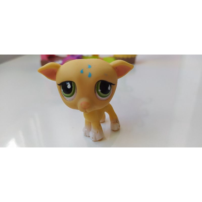 LPS Littlest pet shop Greyhound | Shopee Brasil