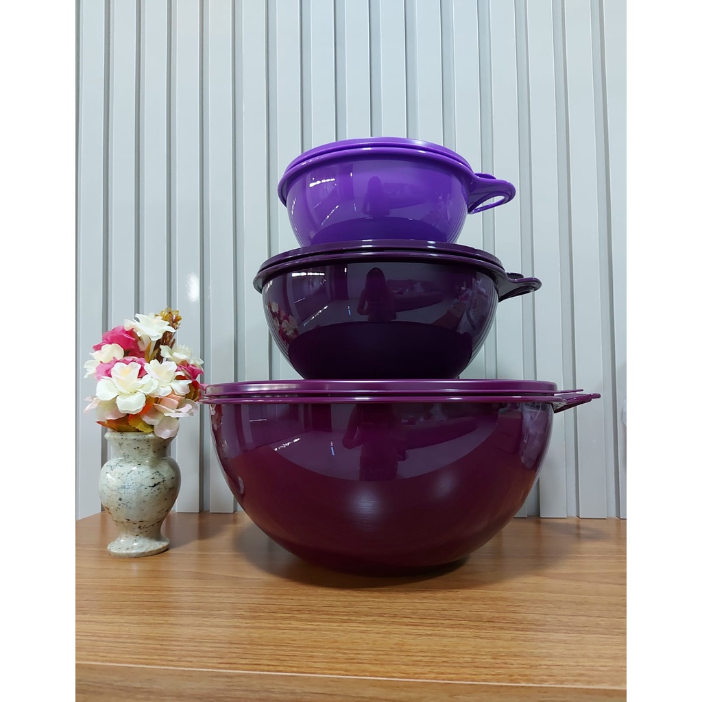 Tupperware kit tigelas criativa | Shopee Brasil
